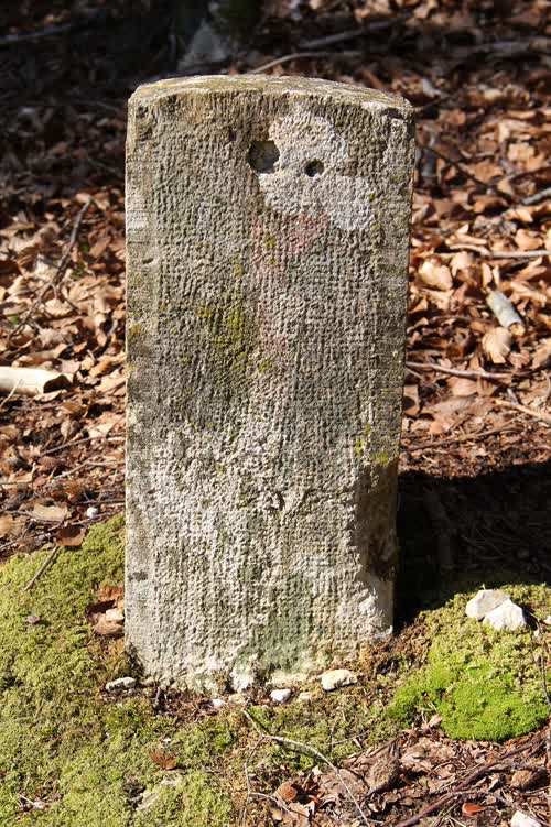 Marker 136.3, Kleinlützel SO, Switzerland | France